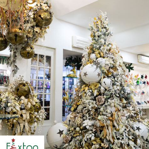 Showroom - Fexton-mx